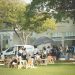 Homepage | Universal Bakehouse